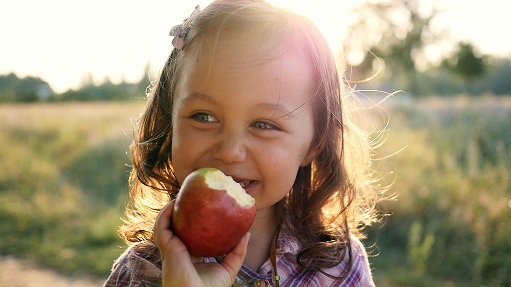 Cold Chain Logistics in Latin America | Maersk